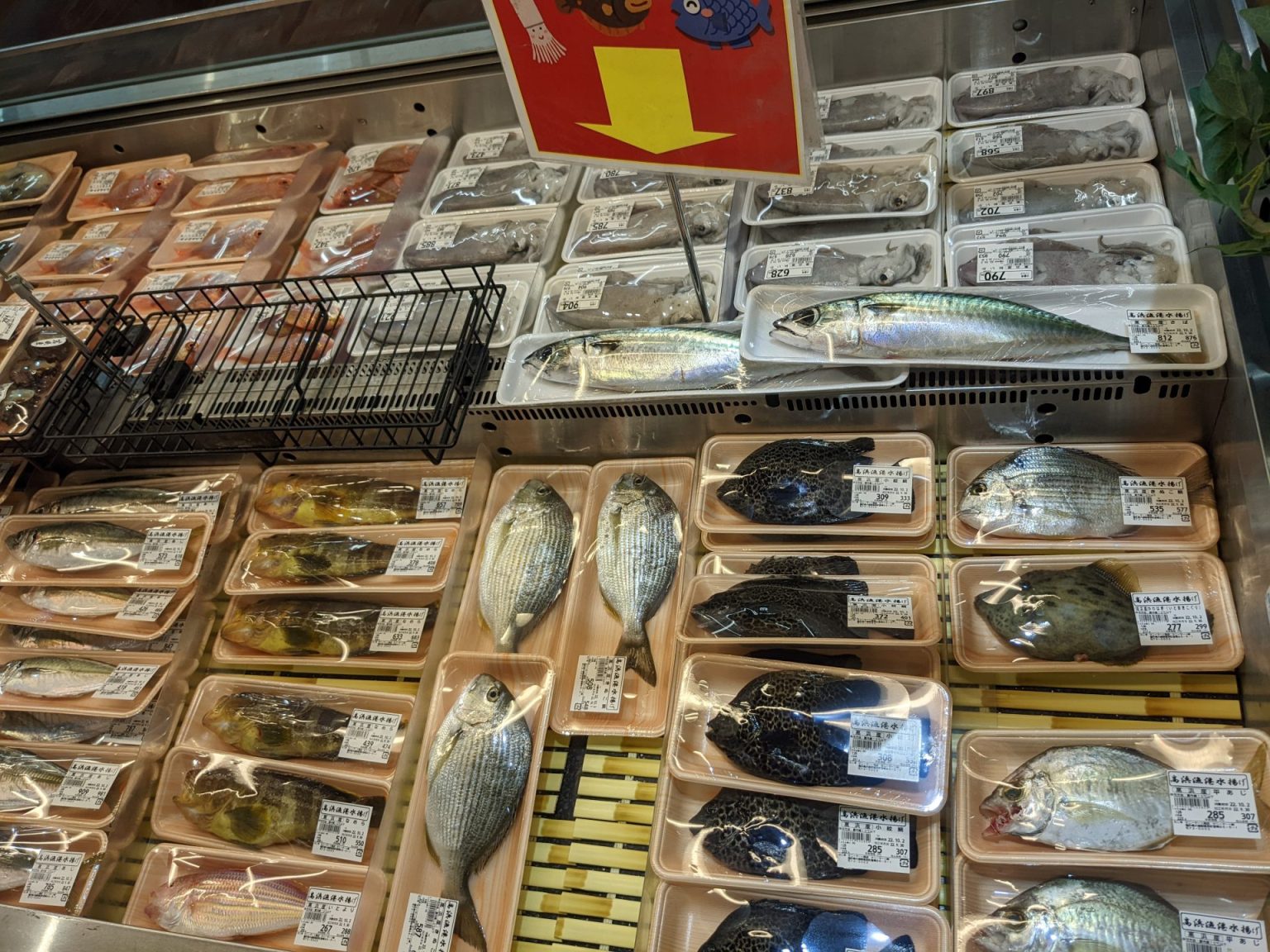 A guide for Van Life in Japan - KumaZen